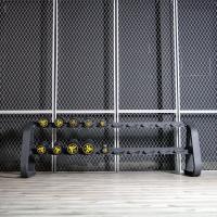 China Custom Multi Function Gym Machine Steel Dumbbell Rack 2.3m Home Strength Training Set for sale