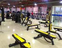 China Befreeman FR 823 Adjustable Decline Exercise Bench 1.9m Steel Core Training Gym Equipment for sale