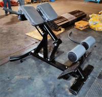 China Freeman FR-32 Commercial Hyper Extension Bench Roman Chair Foldable 1.5m Gym Equipment for sale