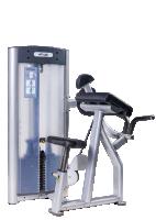 China Commercial Plate Loaded Arm Curl Trainer Biceps Machine 150kg Capacity for Upper Body Workout for sale