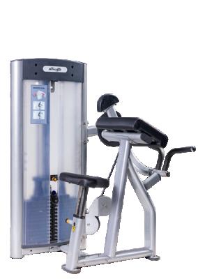 China Commercial Plate Loaded Arm Curl Trainer Biceps Machine 150kg Capacity for Upper Body Workout for sale