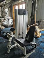 China Freeman FR-09 Leg Extension Machine 230kg Commercial Gym Strength Equipment for Quadriceps Lower Body Workout for sale