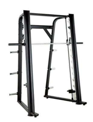 China Commercial Smith Machine 1250x2210x2370 mm Guided Bar Strength Training Rack for Squat Press for sale