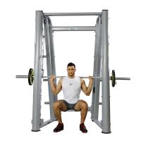 China Commercial Smith Machine 1250x2210x2370 mm Guided Bar Strength Training Rack for Squat Press for sale