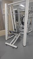 China Commercial Smith Machine 1250x2210x2370 mm Guided Bar Strength Training Rack for Squat Press for sale