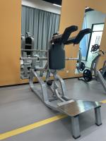 China Commercial Vertical Hack Squat Machine Plate Loaded Gym Lower Limb Exercise Quad Glute Strength Building Fitness Equipment FR-845 1620mm for sale