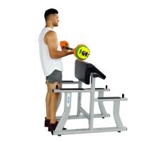 China Commercial Preacher Curl Bench FR-33 1170x800x1080mm Biceps Strength Training Arm Curl Machine for Gym for sale