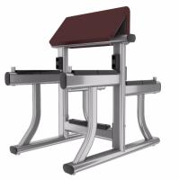 China Commercial Preacher Curl Bench FR-33 1170x800x1080mm Biceps Strength Training Arm Curl Machine for Gym for sale