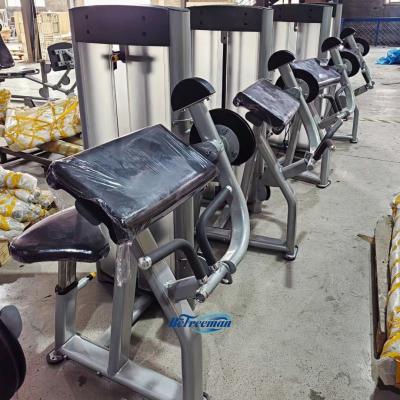 China Freeman Pin Loaded Seated Biceps Machine 150kg Weight Stack Commercial Gym Bicep Curl Strength Training Equipment for sale