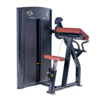 China Commercial Biceps Machine 182kg Upper Body Strength Training Arm Bicep Muscle Building Fitness Equipment for sale