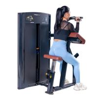 China Commercial Biceps Machine 182kg Upper Body Strength Training Arm Bicep Muscle Building Fitness Equipment for sale