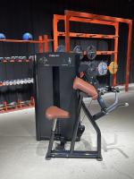 China Commercial Biceps Machine 182kg Upper Body Strength Training Arm Bicep Muscle Building Fitness Equipment for sale
