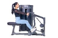 China Befreeman Seated Row Machine Commercial Gym Pin Loaded Back Strength Training Equipment 80.25kg Weight Stack for sale