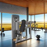 China Freeman Pin Loaded Shoulder Press Machine 80.25kg Weight Stack Commercial Gym Equipment for sale