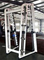 China Heavy Duty Smith Machine Commercial Gym FR-24 1250x2210x2370mm 238kg Weight Lifting Fitness Equipment for sale