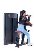 China Commercial Pin Loaded Arm Curl Trainer Biceps Machine 1180x835x1360mm 182KG Gym Strength Equipment for sale