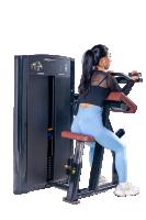 China Commercial Pin Loaded Arm Curl Trainer Biceps Machine 1180x835x1360mm 182KG Gym Strength Equipment for sale