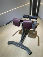 China Commercial Roman Chair Back Extension Machine 1500x900x1000mm 60kg Pin Loaded for Gym for sale