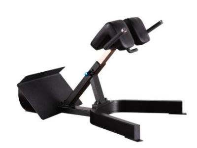 China Adjustable 45 Degree Roman Chair Back Extension Bench for Strength Training Upper Body Exercise 1220x860x960mm for sale