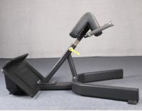 China Adjustable 45 Degree Roman Chair Back Extension Bench for Strength Training Upper Body Exercise 1220x860x960mm for sale