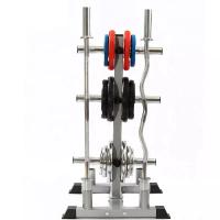 China Befreeman Commercial Weight Plate Rack 610x580x1240mm 39kg for Gym Fitness Storage for sale