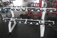 China Befreeman Heavy Duty Dumbbell Storage Rack 2 Tier 2200x900x900 mm Commercial Gym Equipment for sale