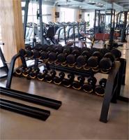China Befreeman Heavy Duty Dumbbell Storage Rack 740x2460x810mm Commercial Gym Strength Training Workout Station for sale