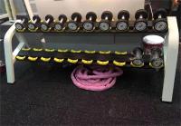 China Befreeman Heavy Duty Dumbbell Storage Rack 740x2460x810mm Commercial Gym Strength Training Workout Station for sale