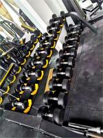 China Befreeman Heavy Duty Dumbbell Storage Rack 740x2460x810mm Commercial Gym Strength Training Workout Station for sale
