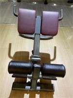 China Freeman FR-32 Back Extension Roman Chair 1500x900x1000mm Pin Loaded Strength Training Machine for Gym for sale