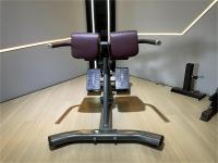 China Freeman FR-32 Back Extension Roman Chair 1500x900x1000mm Pin Loaded Strength Training Machine for Gym for sale