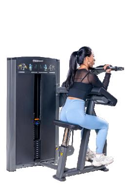 China Commercial Biceps Triceps Machine 205kg Pin Loaded Gym Equipment with Self-Adjusting Handles for sale