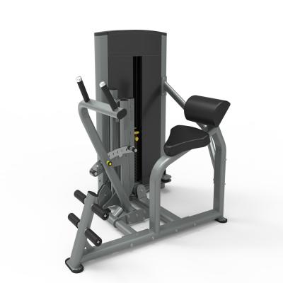 China AX11 Abdominal Back Extension Machine 235kg Pin Loaded Gym Equipment for Core Strength Training for sale