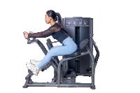China AX11 Abdominal Back Extension Machine 235kg Pin Loaded Gym Equipment for Core Strength Training for sale