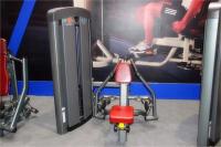 China Commercial Seated Cable Row Machine 150kg Weight Stack Custom Color Gym Equipment for sale