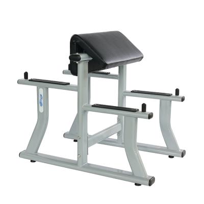 China Freeman FR-33 Arm Curl Bench 1170x800x1080 mm Pin Loaded Gym Equipment for sale