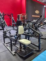 China Foldable Vertical Row Machine with Linear Guide for Back Strength Training and Customized Logo for Indoor Use for sale