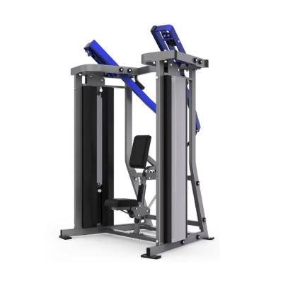 China Seated Back Extension Machine Commercial Selectorized Gym Equipment for Lower Back Training for sale