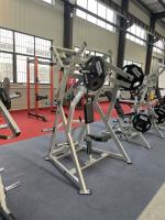 China Commercial Plate Loaded Iso-Lateral D.Y. Row Machine Steel Frame Back Training Gym Equipment for sale