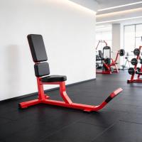 China Home use Shoulder Press Bench Steel Weight Bench for Shoulder Training for gym for sale