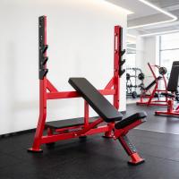 China Olympic Decline Press Steel Plate Loaded Chest Machine for Lower Chest Gym Training for sale