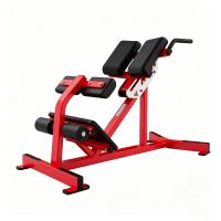 China Roman Chair Back Extension Steel Bench for Lower Back Core Training and Commercial Gyms for sale