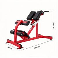 China Roman Chair Back Extension Steel Bench for Lower Back Core Training and Commercial Gyms for sale