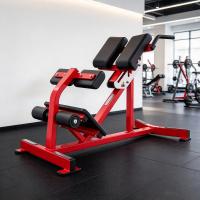China Roman Chair Back Extension Steel Bench for Lower Back Core Training and Commercial Gyms for sale