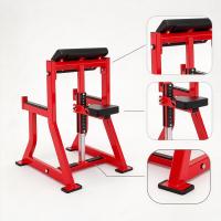 China Seated Biceps Curl Machine Steel Strength Equipment for Arm Muscle Training in Commercial Gyms for sale