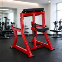 China Seated Biceps Curl Machine Steel Strength Equipment for Arm Muscle Training in Commercial Gyms for sale