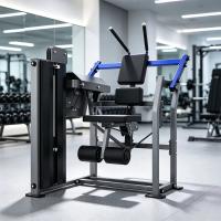 China MTS12 Abdominal Crunch Machine Pin Loaded Commercial Gym Machine for Core Strength Training for sale