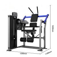 China MTS12 Abdominal Crunch Machine Pin Loaded Commercial Gym Machine for Core Strength Training for sale