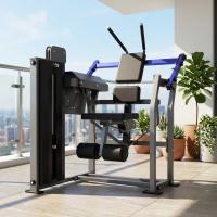 China MTS12 Abdominal Crunch Machine Pin Loaded Commercial Gym Machine for Core Strength Training for sale