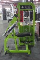 China Commercial Gym Biceps Curl Machine Pin Loaded Arm Curl Equipment with 80KG Weight Stack for sale